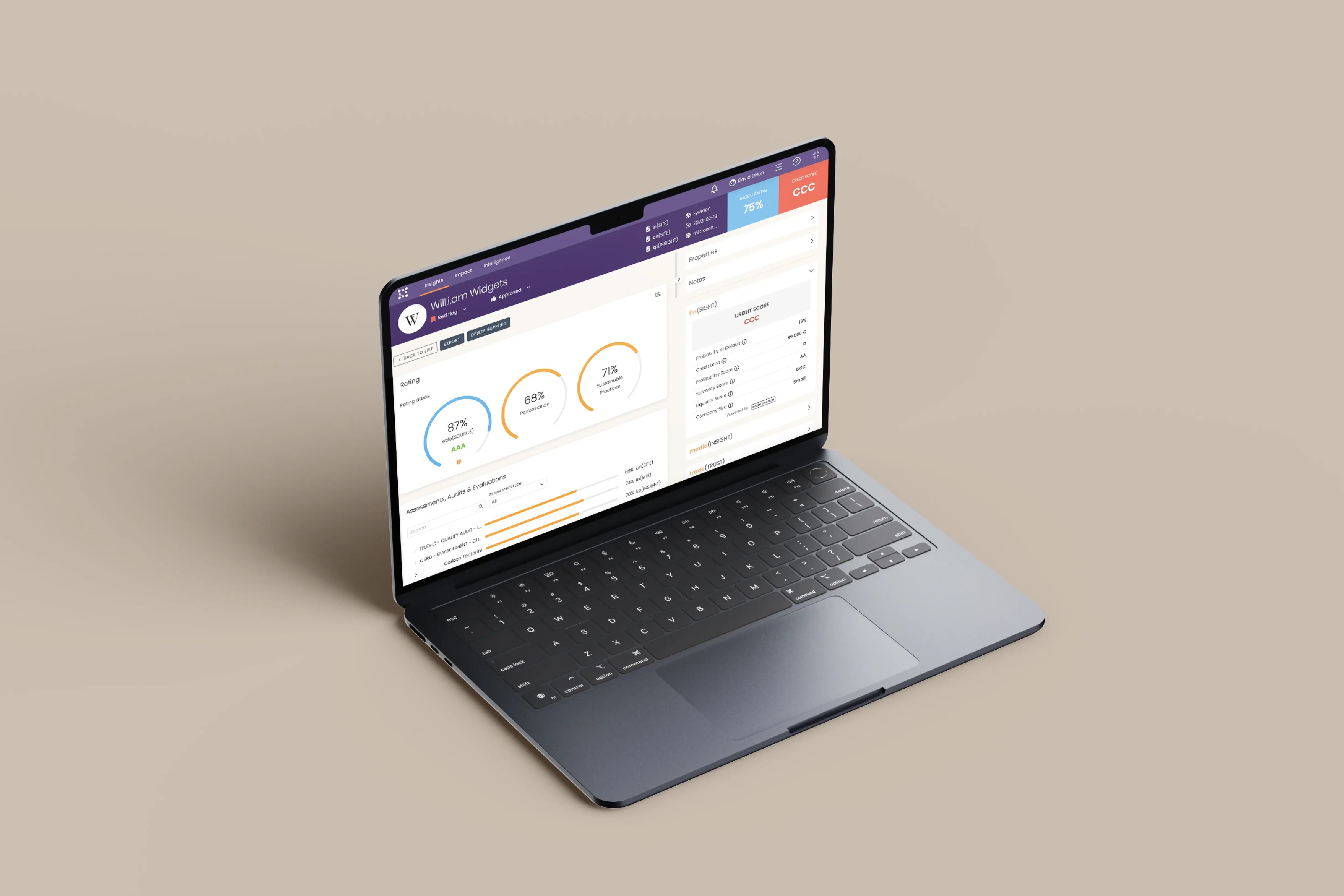 Supplier Financial Risk Assessment: Key Steps & Analysis